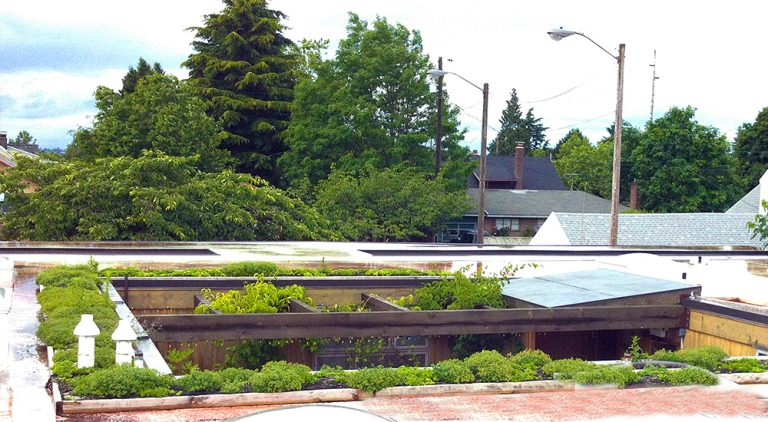 Common Ground Ecoroof Ecoeave - Portland Oregon Green Roof, Ecoroof ...